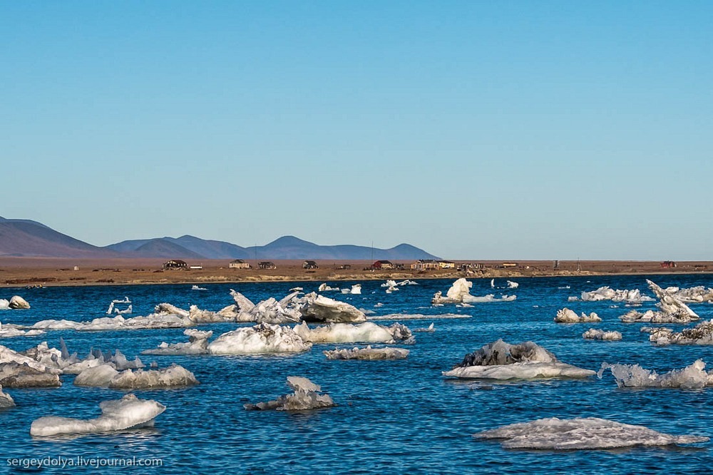 Остров Врангеля в фотографиях — Вокруг Мира